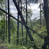 Amanda's Trail, Oregon - 156 Reviews, Map | AllTrails