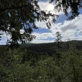 Amanda's Trail, Oregon - 156 Reviews, Map | AllTrails