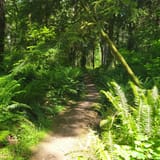 Grand Ridge Park Trail, Washington - 427 Reviews, Map | AllTrails