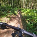 Grand Ridge Park Trail, Washington - 427 Reviews, Map | AllTrails