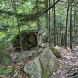 The Flume Gorge Trail, New Hampshire - 4,494 Reviews, Map | AllTrails