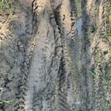 Tibble Fork Loop Trail, Utah - 817 Reviews, Map | AllTrails