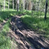 Tibble Fork Loop Trail, Utah - 817 Reviews, Map | AllTrails