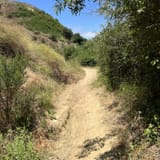 Rose Canyon Trail , California - 1,536 Reviews, Map | AllTrails