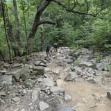Mount Tammany via Red Dot and Blue Dot Loop Trail, New Jersey - 13,586 ...