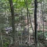 Denny Cove Waterfall Trail , Tennessee - 1,177 Reviews, Map | AllTrails