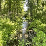 Waterloo-Pinckney Trail, Michigan - 497 Reviews, Map | AllTrails