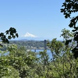 Forest Park Ridge Trail, Oregon - 1,320 Reviews, Map | AllTrails