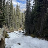 Karst Spring Trail, Alberta, Canada - 962 Reviews, Map | AllTrails