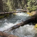 Karst Spring Trail, Alberta, Canada - 962 Reviews, Map | AllTrails