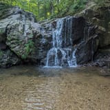 Cascade Falls Loop Trail, Maryland - 2,849 Reviews, Map | AllTrails