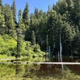 June Lake Trail, Washington - 834 Reviews, Map | AllTrails