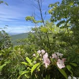 Riprap Trail , Virginia - 1,702 Reviews, Map | AllTrails
