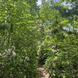 Riprap Trail , Virginia - 1,702 Reviews, Map | AllTrails