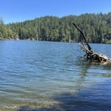 Kent Lake via Candalero Canyon Loop, California - 442 Reviews, Map ...