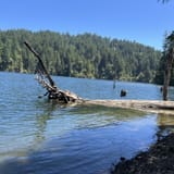 Kent Lake via Candalero Canyon Loop, California - 442 Reviews, Map ...