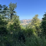 Kent Lake via Candalero Canyon Loop, California - 430 Reviews, Map ...