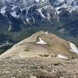 Opal Ridge, Alberta, Canada - 1,421 Reviews, Map | AllTrails
