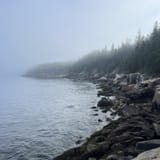 Ocean Path Trail, Maine - 3,554 Reviews, Map | AllTrails