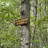 Huckleberry Point Trail, New York - 1,797 Reviews, Map | AllTrails