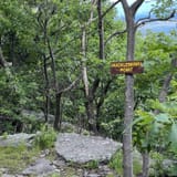 Huckleberry Point Trail, New York - 1,816 Reviews, Map | AllTrails