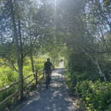 Mercer Slough Nature Park, Washington - 1,047 Reviews, Map | AllTrails