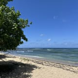 Reef Bay Trail, Saint John, US Virgin Islands - 1,096 Reviews, Map ...