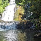 Alsea Falls and Green Peak Falls, Oregon - 1,206 Reviews, Map | AllTrails