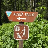 Alsea Falls and Green Peak Falls, Oregon - 1,206 Reviews, Map | AllTrails