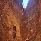 Wire Pass Trail, Utah - 3,026 Reviews, Map | AllTrails
