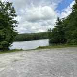 Benedict Pond Loop Trail, Massachusetts - 695 Reviews, Map | AllTrails