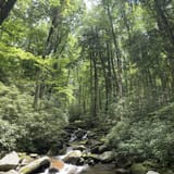 Cosby Nature Trail, Tennessee - 582 Reviews, Map | AllTrails