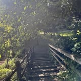 Cheshiahud Lake Union Loop, Washington - 1,869 Reviews, Map | AllTrails