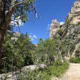 Tongue River Canyon, Wyoming - 651 Reviews, Map | AllTrails