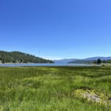 Sagehen Creek Loop, California - 1,097 Reviews, Map | AllTrails