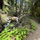 Tanbark Trail and Tin House Loop, California - 1,411 Reviews, Map ...
