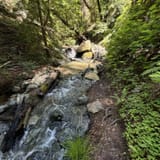 Tanbark Trail and Tin House Loop, California - 1,411 Reviews, Map ...