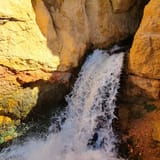 Cascade Falls, Utah - 862 Reviews, Map | AllTrails