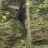 Panther Den Loop, Illinois - 1,067 Reviews, Map | AllTrails