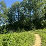 Cherokee Park Loop, Kentucky - 1,922 Reviews, Map | AllTrails