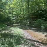 Panther Den Loop, Illinois - 1,067 Reviews, Map | AllTrails