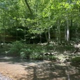 Panther Den Loop, Illinois - 1,067 Reviews, Map | AllTrails