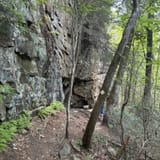 Foster Falls Climbers Loop Trail, Tennessee - 2,001 Reviews, Map ...