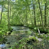 Stepstone Falls via Ben Utter Trail, Rhode Island - 1,612 Reviews, Map ...