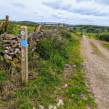 Chee Dale Gorge Circular, Derbyshire, England - 1,550 Reviews, Map ...