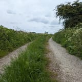 Chee Dale Gorge Circular, Derbyshire, England - 1,550 Reviews, Map ...