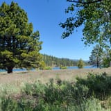 Sagehen Creek Loop, California - 1,097 Reviews, Map | AllTrails