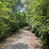 Stringers Ridge via Blue Trail, Tennessee - 2,106 Reviews, Map | AllTrails