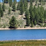 Sagehen Creek Loop, California - 1,097 Reviews, Map | AllTrails