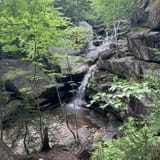 Champney Falls Trail, New Hampshire - 1,720 Reviews, Map | AllTrails